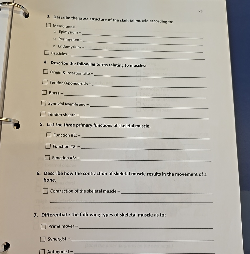 Solved 783. ﻿Describe the gross structure of the skeletal | Chegg.com