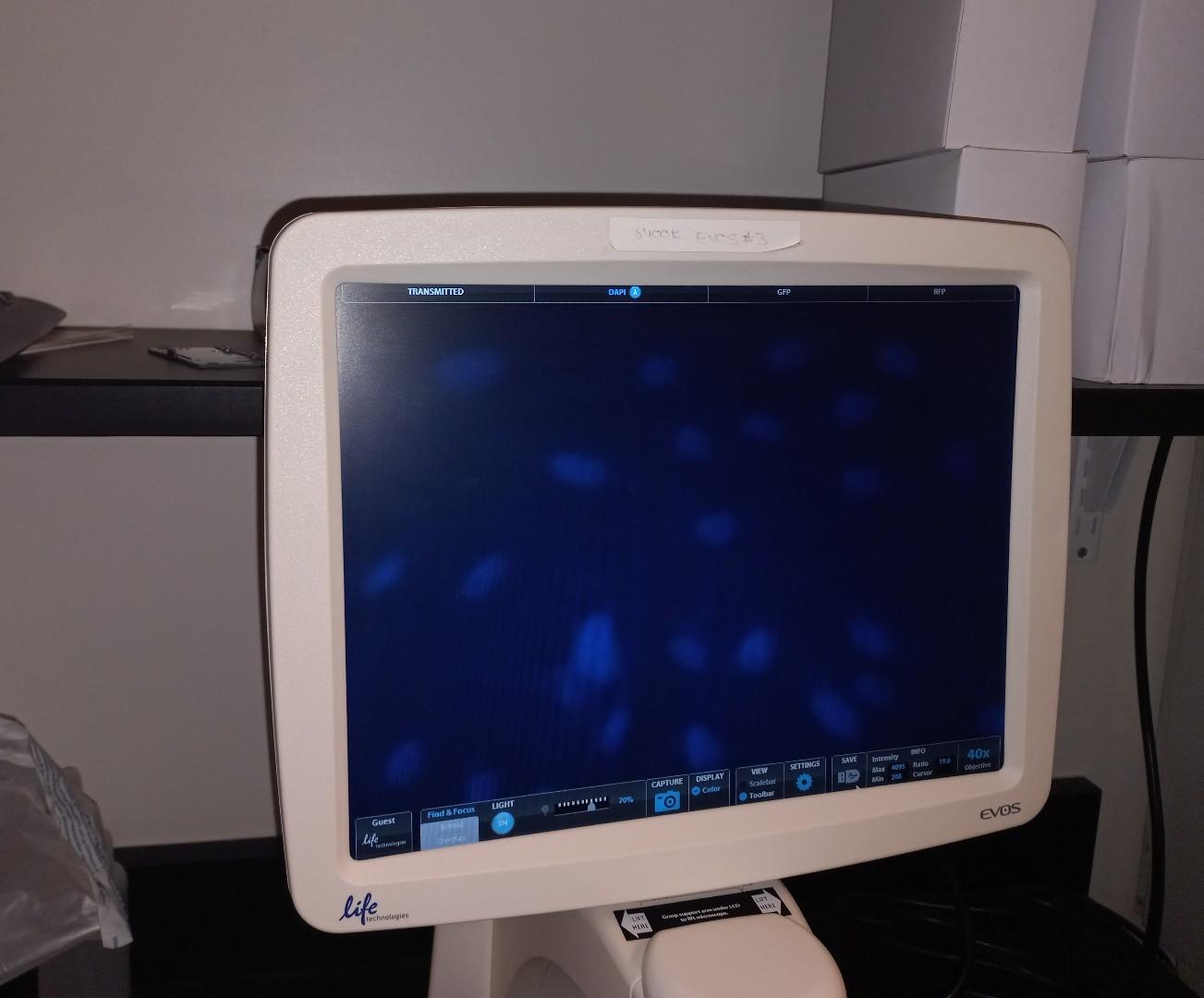 Solved 8 Acquiring Images With Evos Microscope Lab Goal