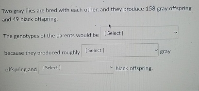 Solved Two gray flies are bred with each other, and they | Chegg.com