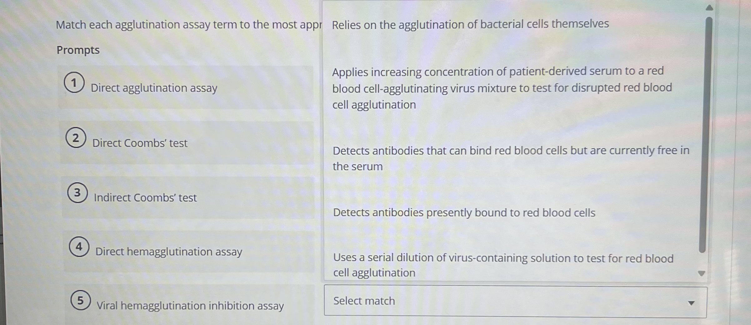 Solved Match each agglutination assay term to the most | Chegg.com