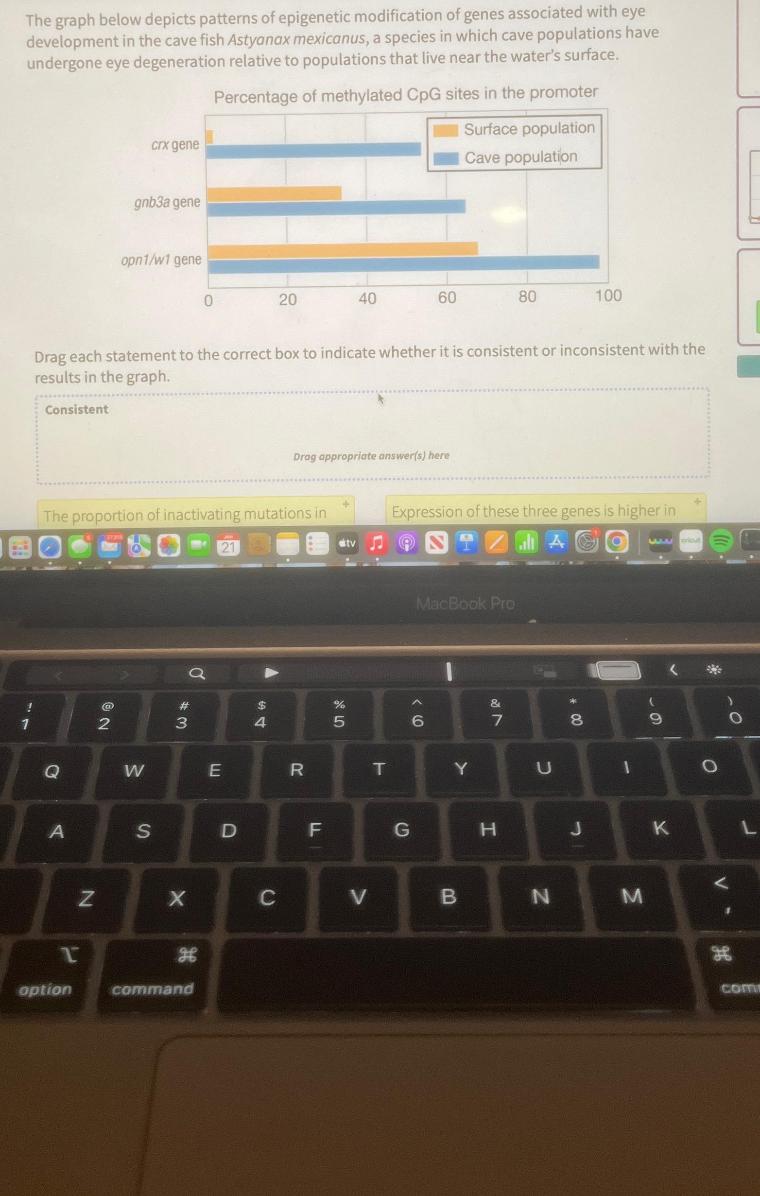 Solved the graph below depicts patterns of epigenetic | Chegg.com