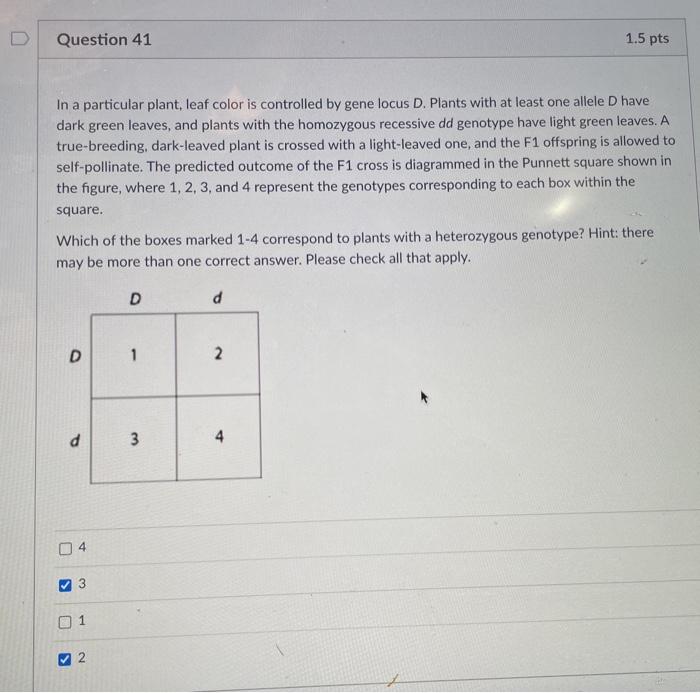 Solved Question 41 1.5 pts In a particular plant, leaf color | Chegg.com