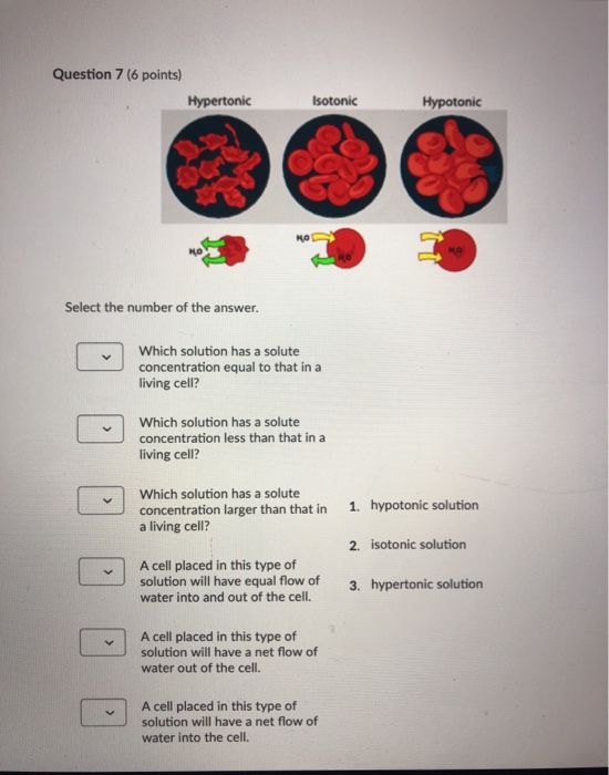 Solved Question 7 (6 points) Hypertonic Isotonic Hypotonic | Chegg.com