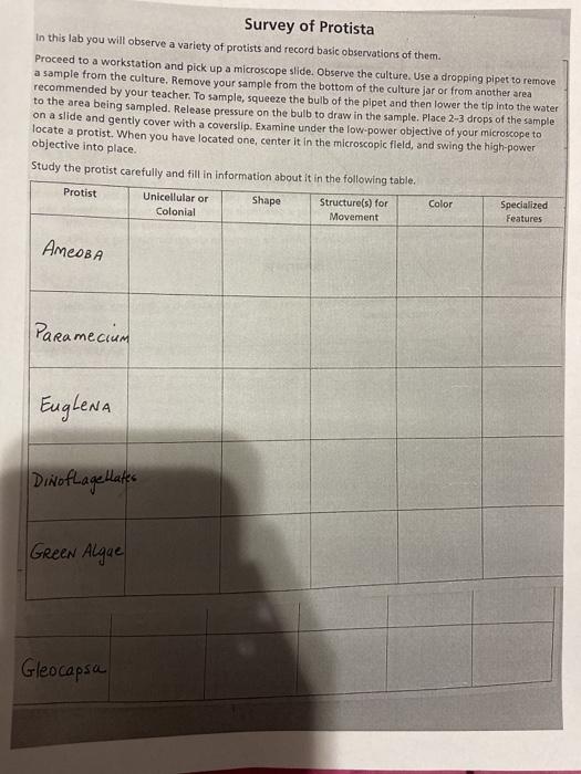 Solved Survey of Protista In this lab you will observe a | Chegg.com
