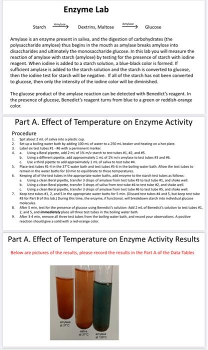 Solved Amylase is an enzyme present in saliva, and the | Chegg.com