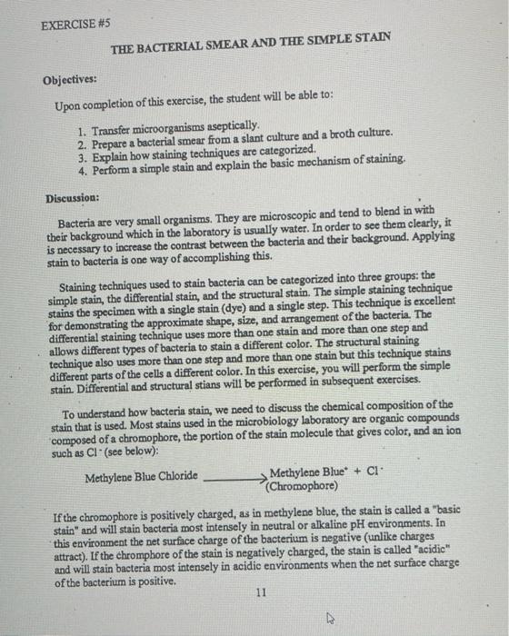 Solved EXERCISE #5 THE BACTERIAL SMEAR AND THE SIMPLE STAN | Chegg.com