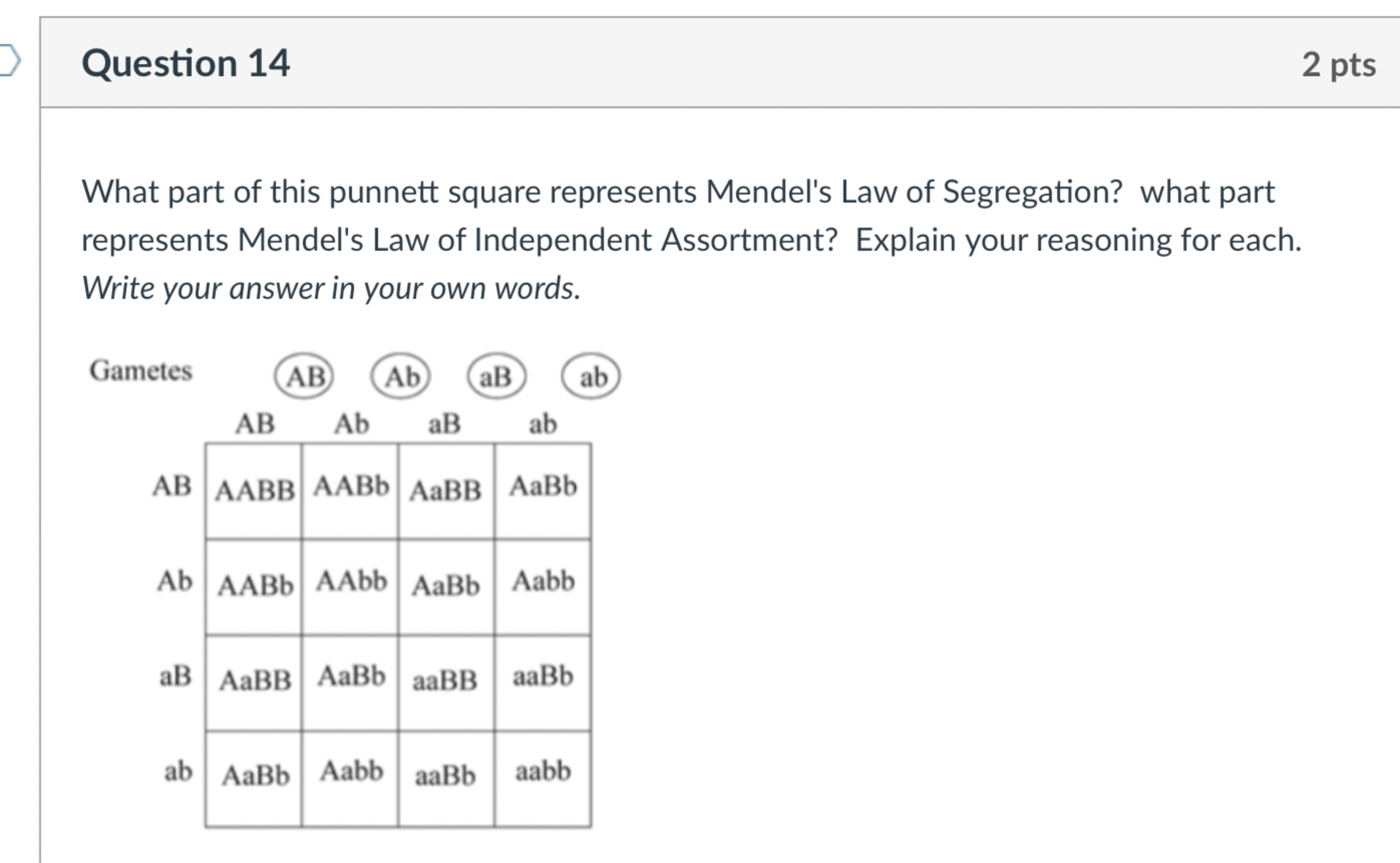 Solved Question 14What part of this punnett square | Chegg.com