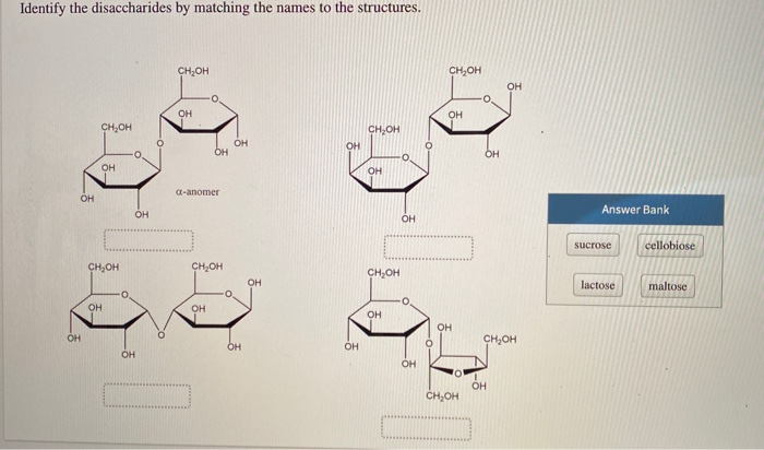 Structure Of Disaccharides Sucrose Maltose Lactose
