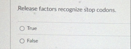Solved Release factors recognize stop codons.\geoquad | Chegg.com