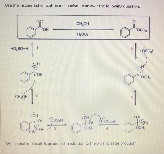 Solved Use the Fischer Esterification mechanism to answer | Chegg.com