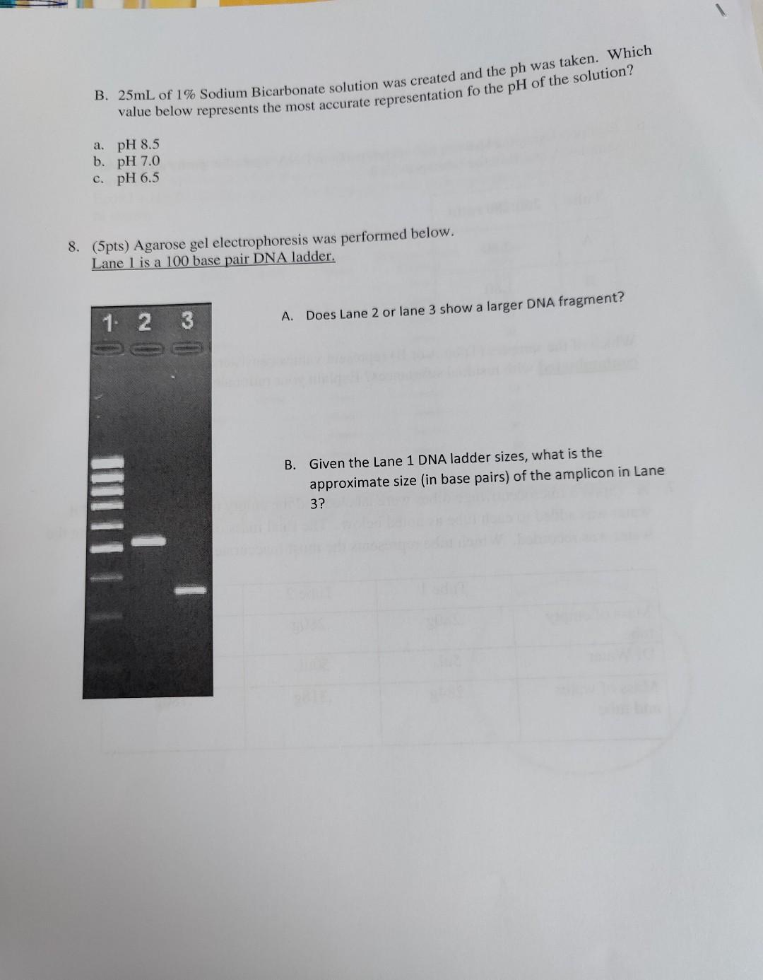 Solved B. 25 mL of 1% Sodium Bicarbonate solution was | Chegg.com
