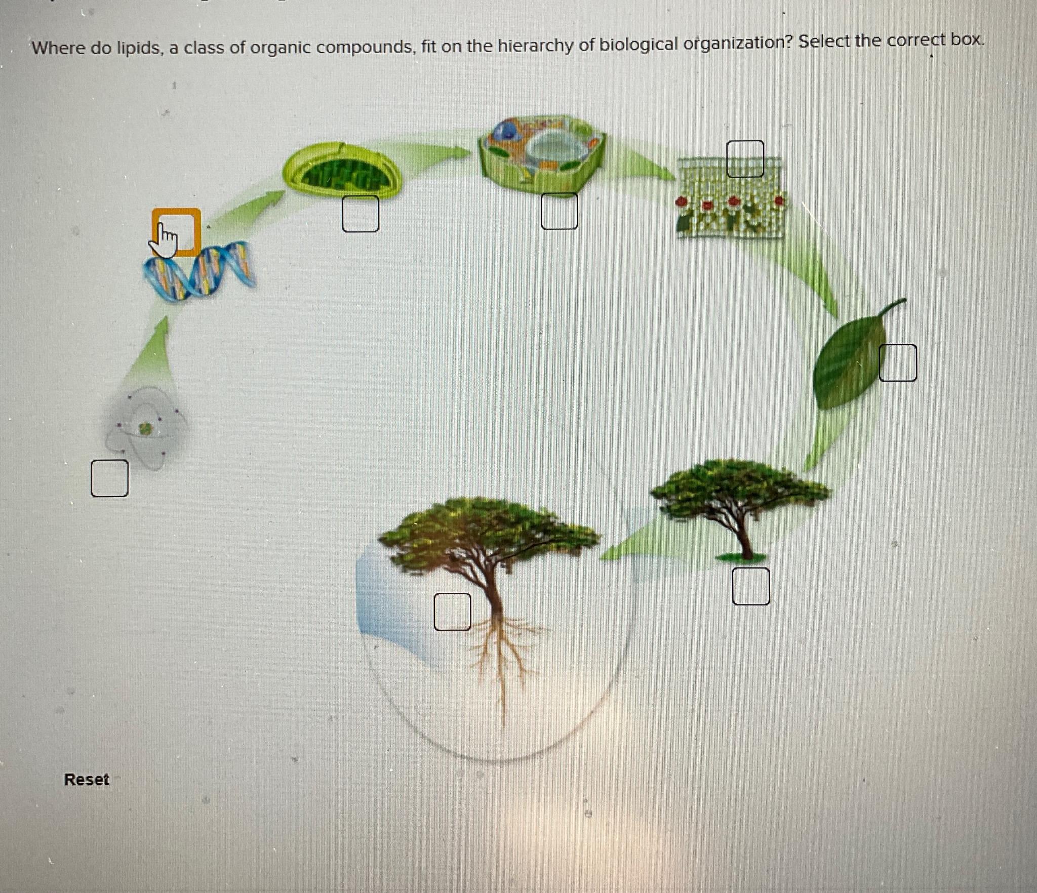 Solved Where do lipids, a class of organic compounds, fit on | Chegg.com Solved Where do lipids, a class of organic compounds, fit on | Chegg.com