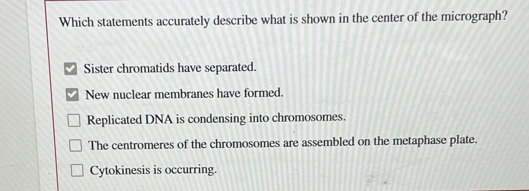 Solved Which statements accurately describe what is shown in | Chegg.com