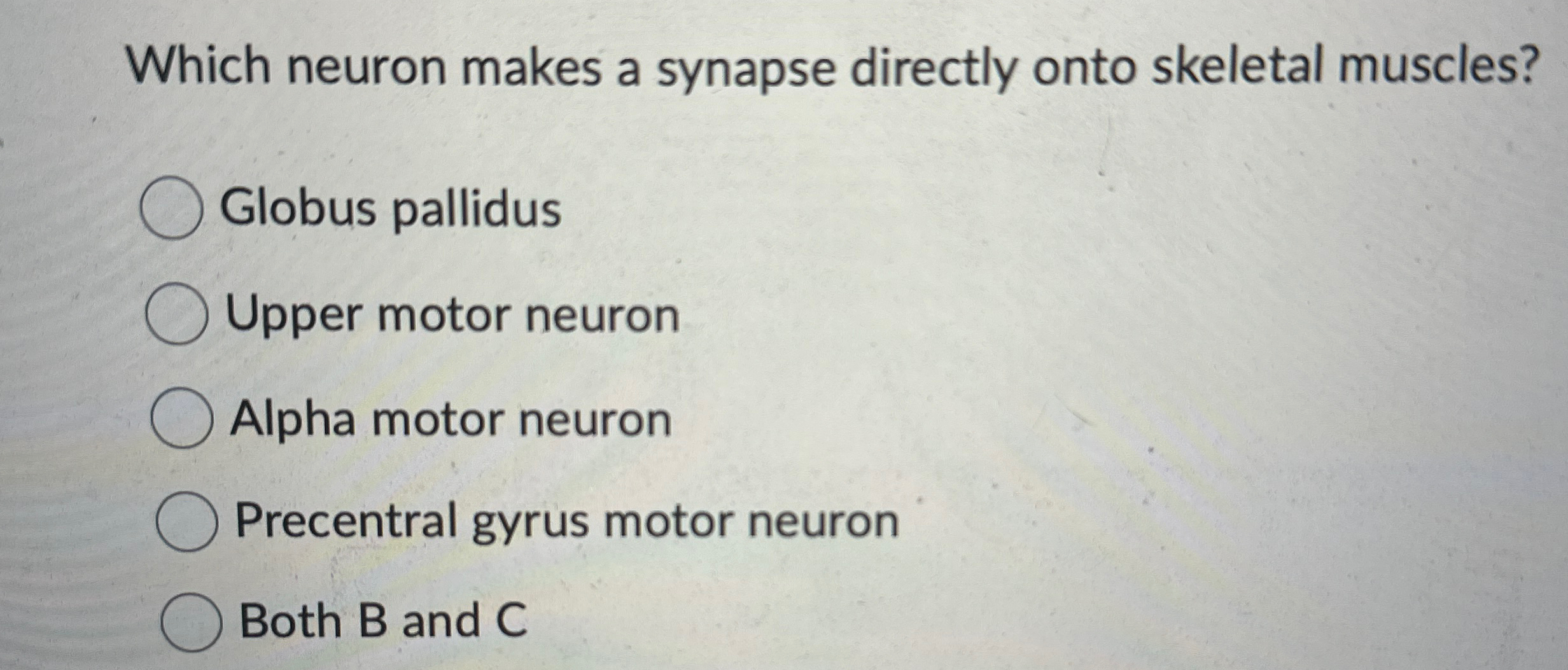 Solved Which neuron makes a synapse directly onto skeletal | Chegg.com