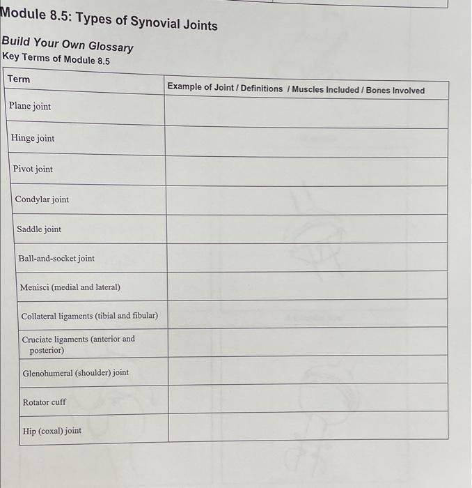 Solved Module 8.5: Types of Synovial Joints Build Your Own | Chegg.com