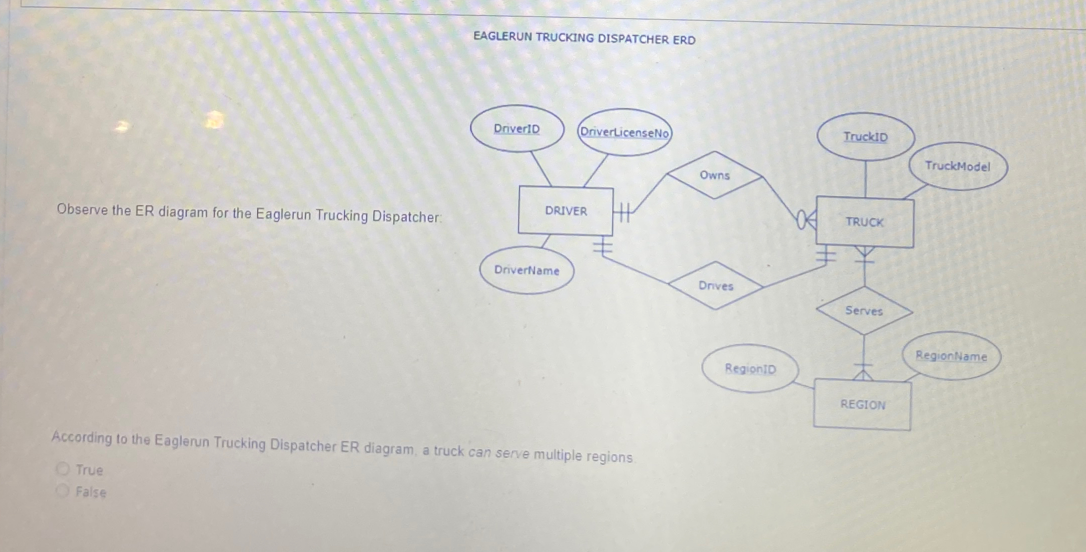 Solved EAGLERUN TRUCKING DISPATCHER ERDObserve the ER | Chegg.com