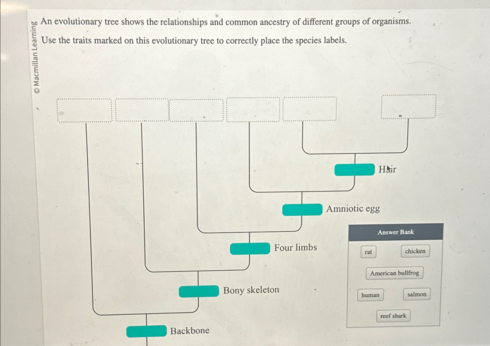A Diagram That Shows Evolutionary Connections Among Groups S