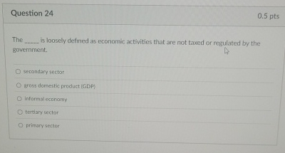 Solved Question 24Theis loosely defined as economic | Chegg.com
