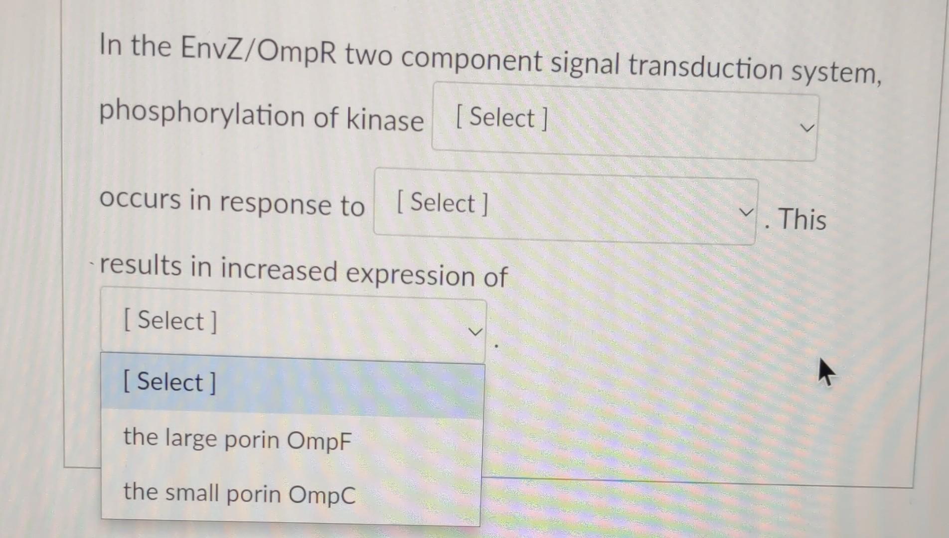Solved In the EnvZ/OmpR two component signal transduction | Chegg.com