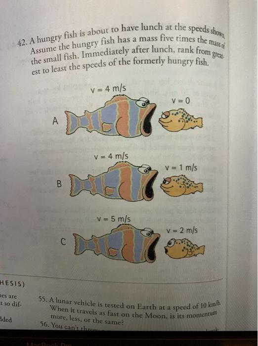 Solved 42. A hungry fish is about to have lunch at the | Chegg.com