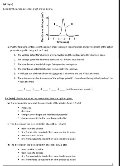 Solved 25 (9 pts) Consider the action potential graph shown | Chegg.com