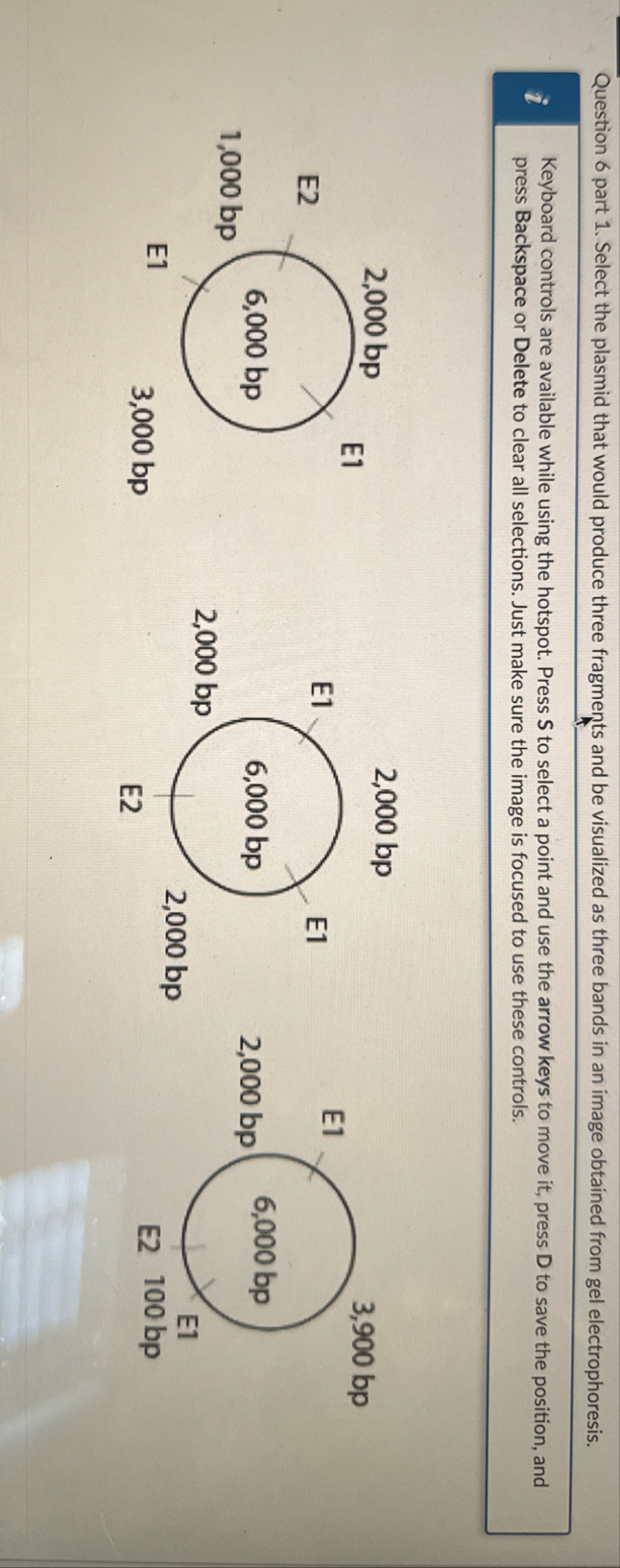 Question 6 ﻿part 1. ﻿Select the plasmid that would | Chegg.com