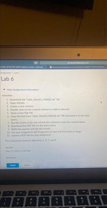 Solved Hide Assignment Information intructens 1. Downioad | Chegg.com
