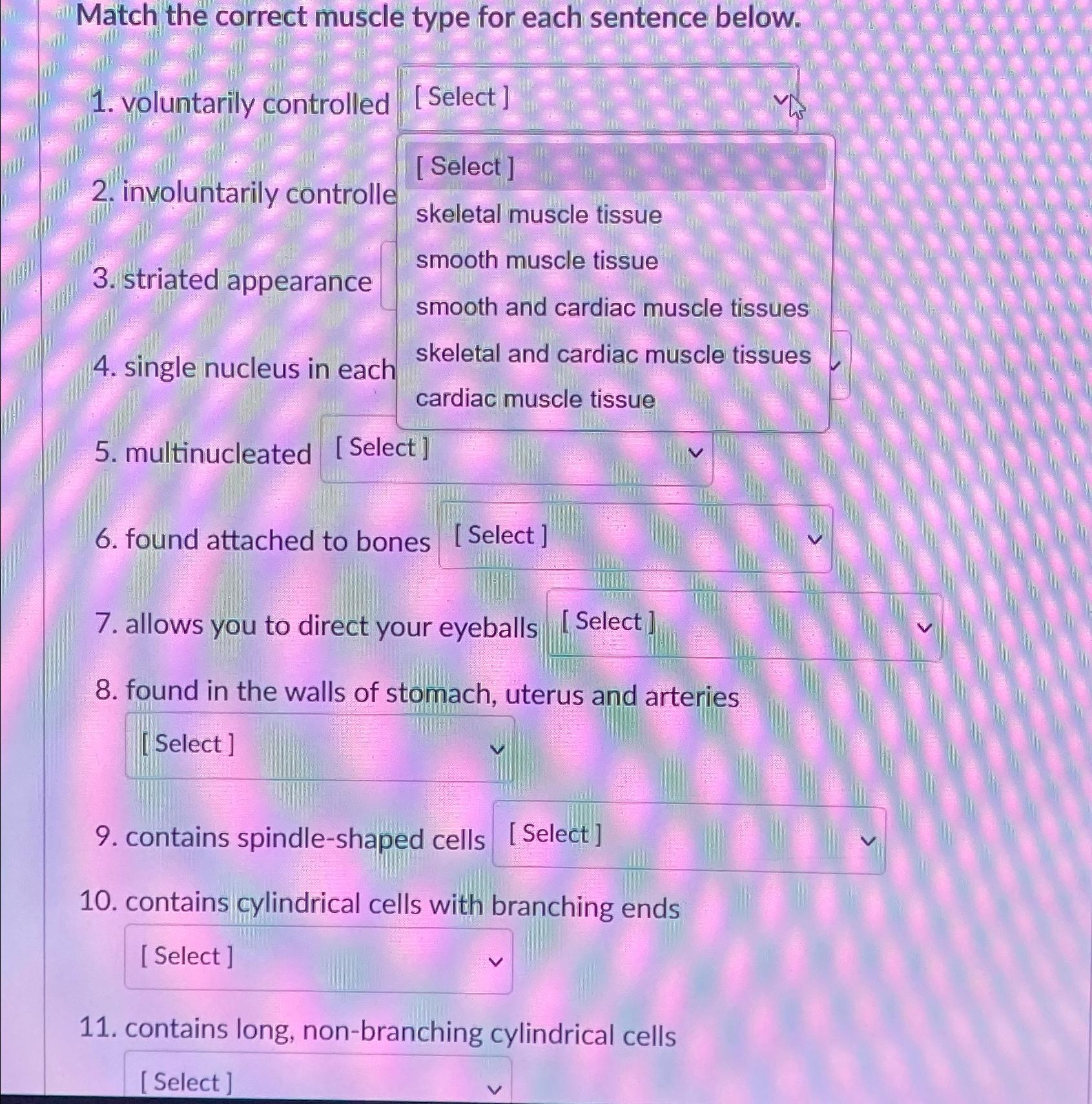 Solved Match the correct muscle type for each sentence | Chegg.com