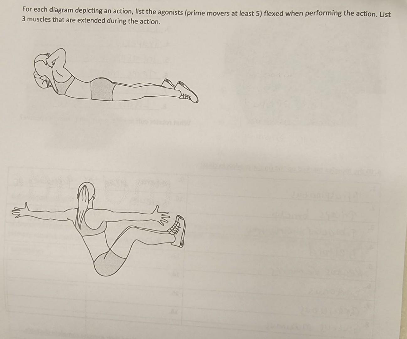 For each diagram depicting an action, list the | Chegg.com