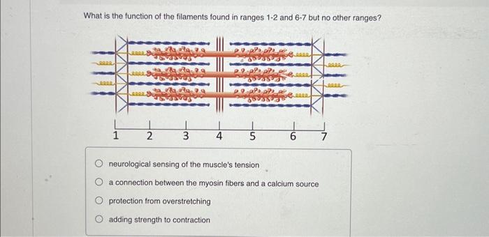 Solved The smallest contractile unit within skeletal muscle | Chegg.com