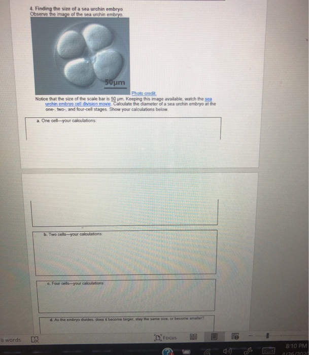 Notice that the scale bar says "50um," which is 50 | Chegg.com