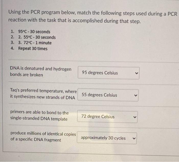 Solved Match the following "ingredients" of a PCR reaction | Chegg.com