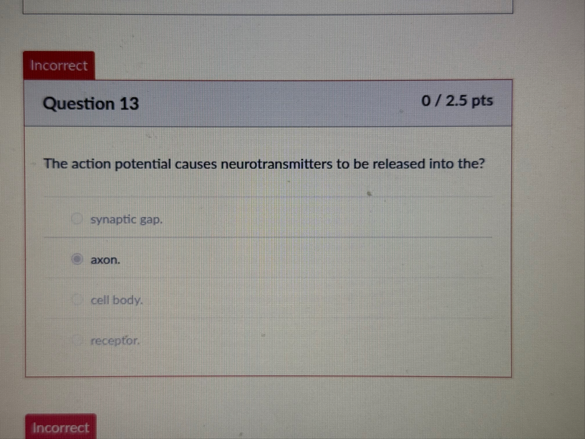 Solved Question 1302.5 ﻿ptsThe action potential causes | Chegg.com