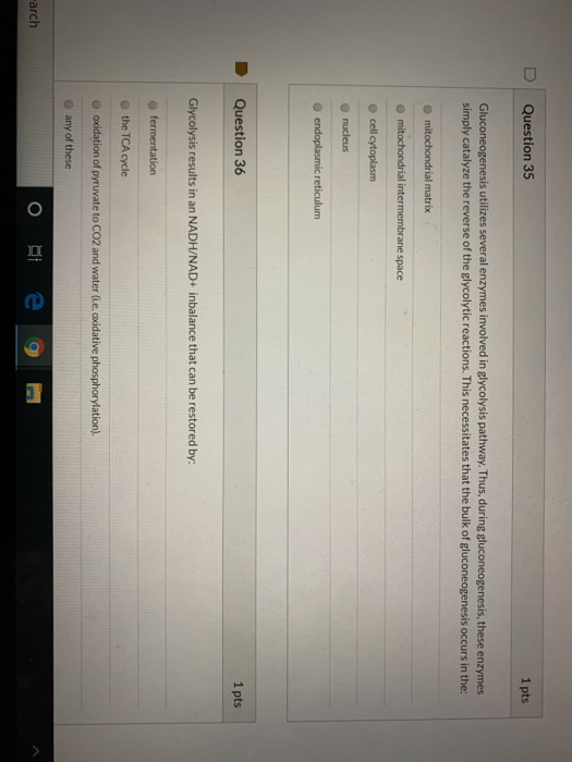 Solved Question 41 O pts Extra Credit: Solved Question 41 O pts Extra Credit: