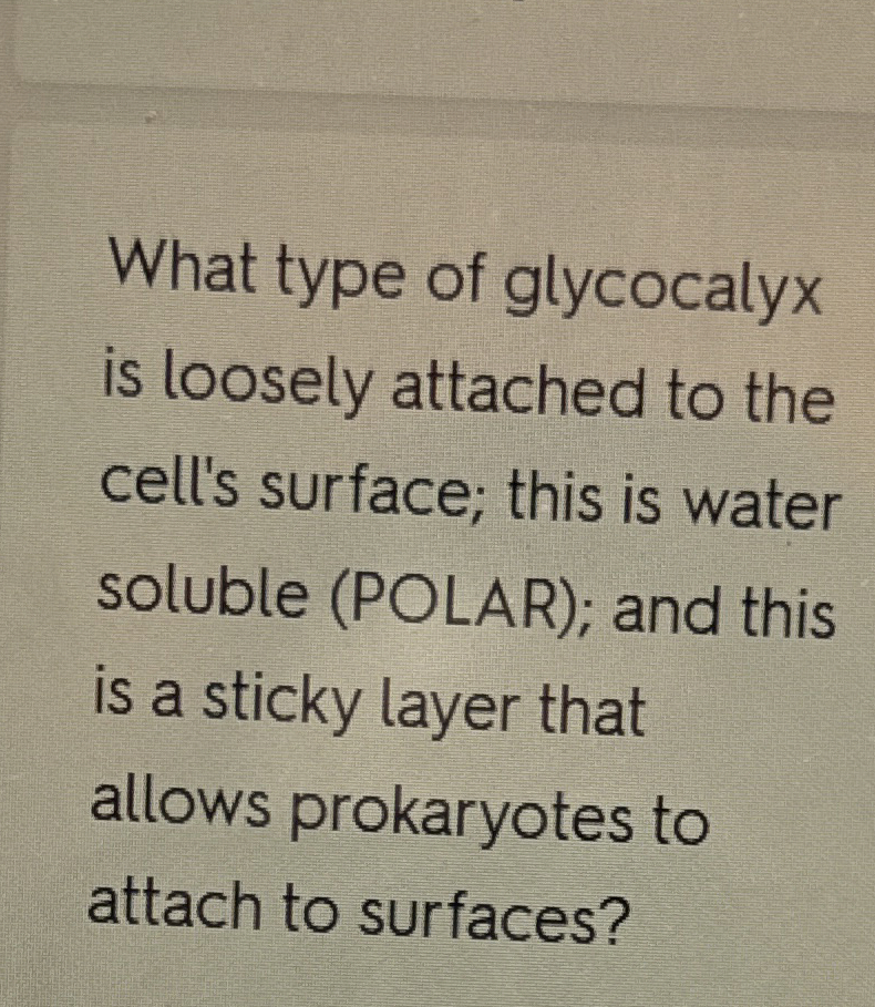 Solved What type of glycocalyx is loosely attached to the | Chegg.com