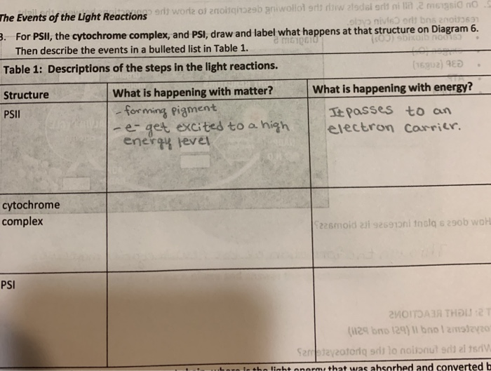 The Events of the Light Reactions or wore of | Chegg.com