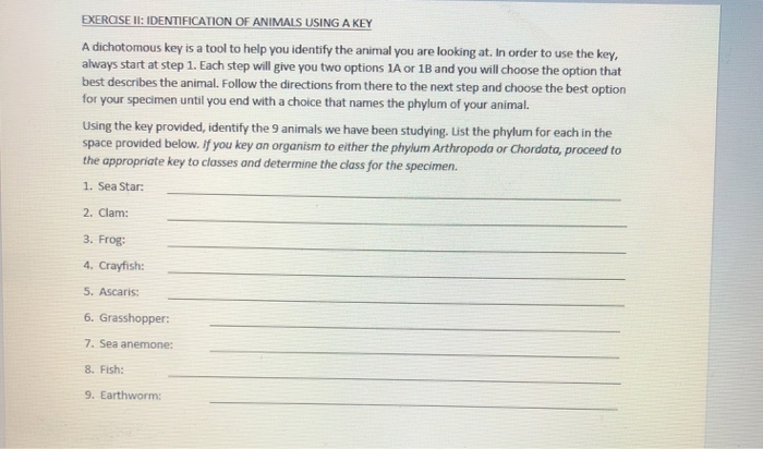 Solved EXERCSE II: IDENTIFICATION OF ANIMALS USING A KEY A | Chegg.com