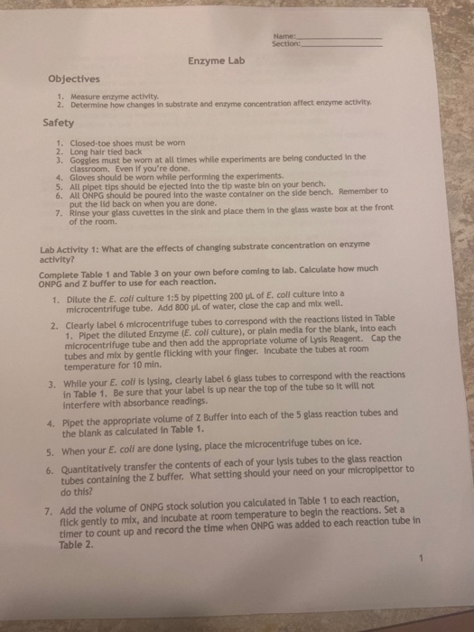 Name: Section: Enzyme Lab Objectives 1. Measure | Chegg.com