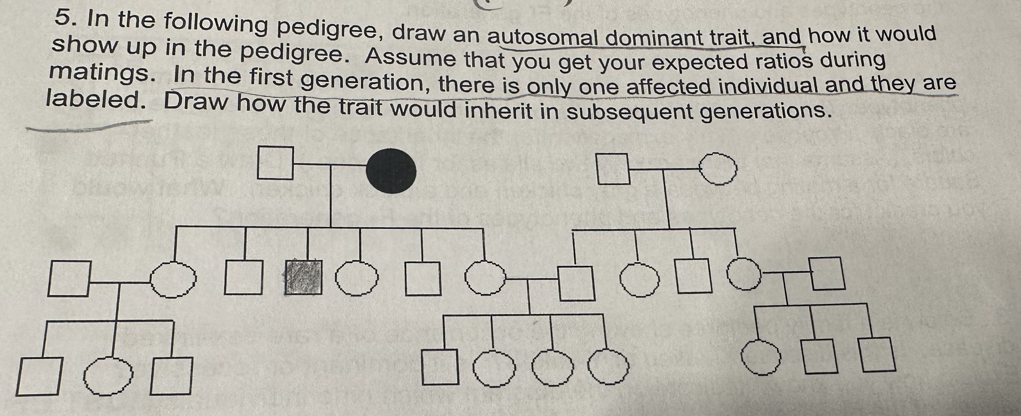 Solved helpp question number 5 | Chegg.com