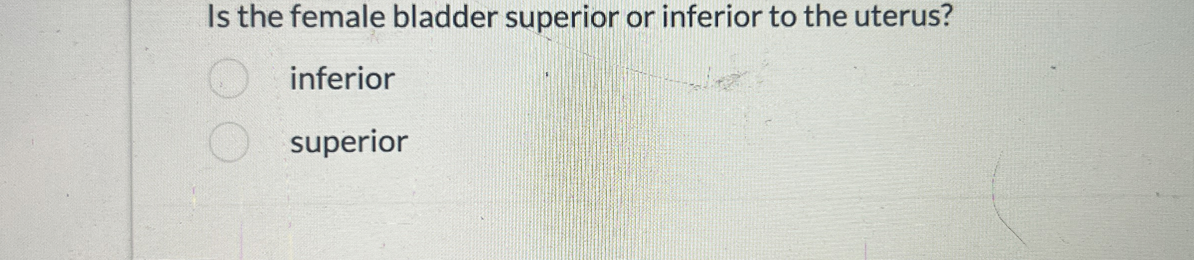 Solved Is the female bladder superior or inferior to the | Chegg.com