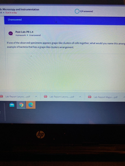 Solved if one of the observed specimen appears like grape | Chegg.com