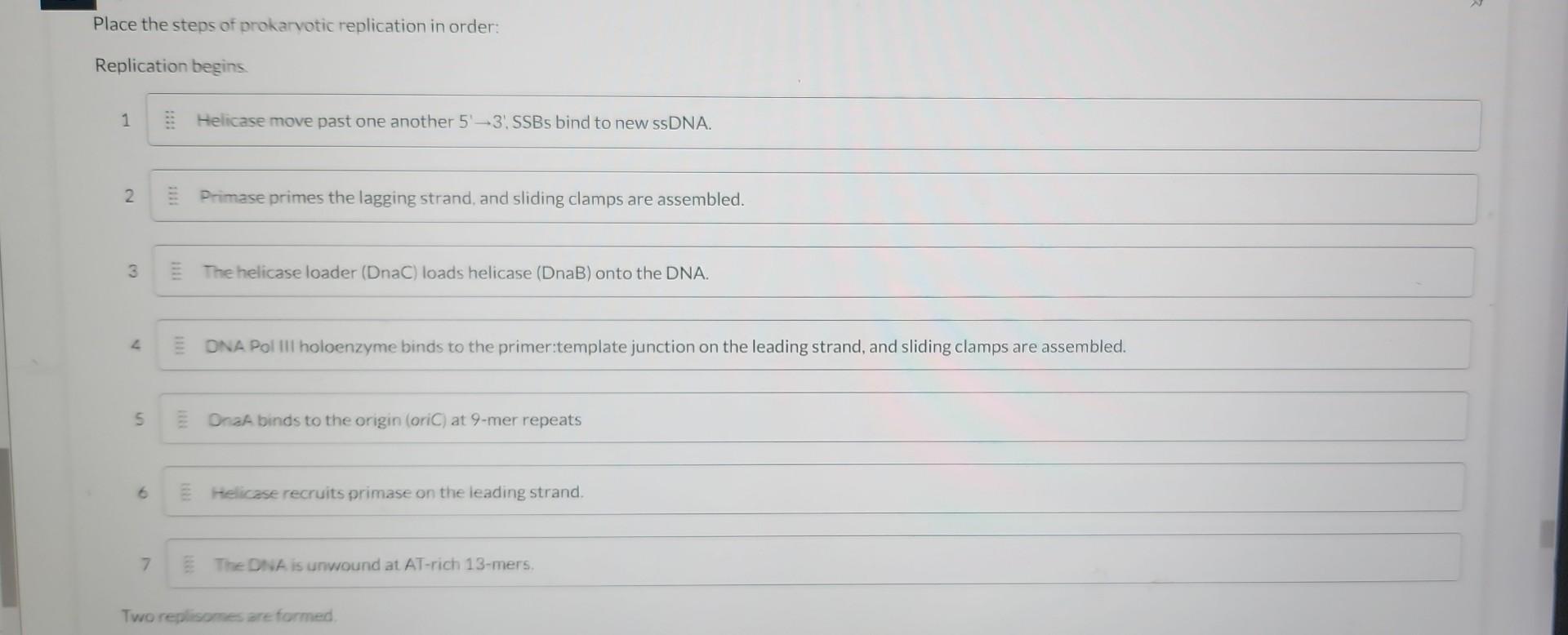 Solved Place the steps of prokarvotic replication in order: | Chegg.com