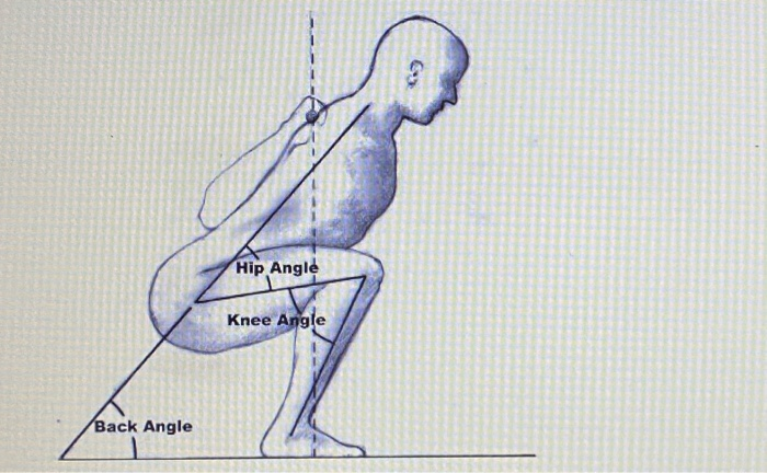 Solved The hip angle pictured here is measuring the angle | Chegg.com
