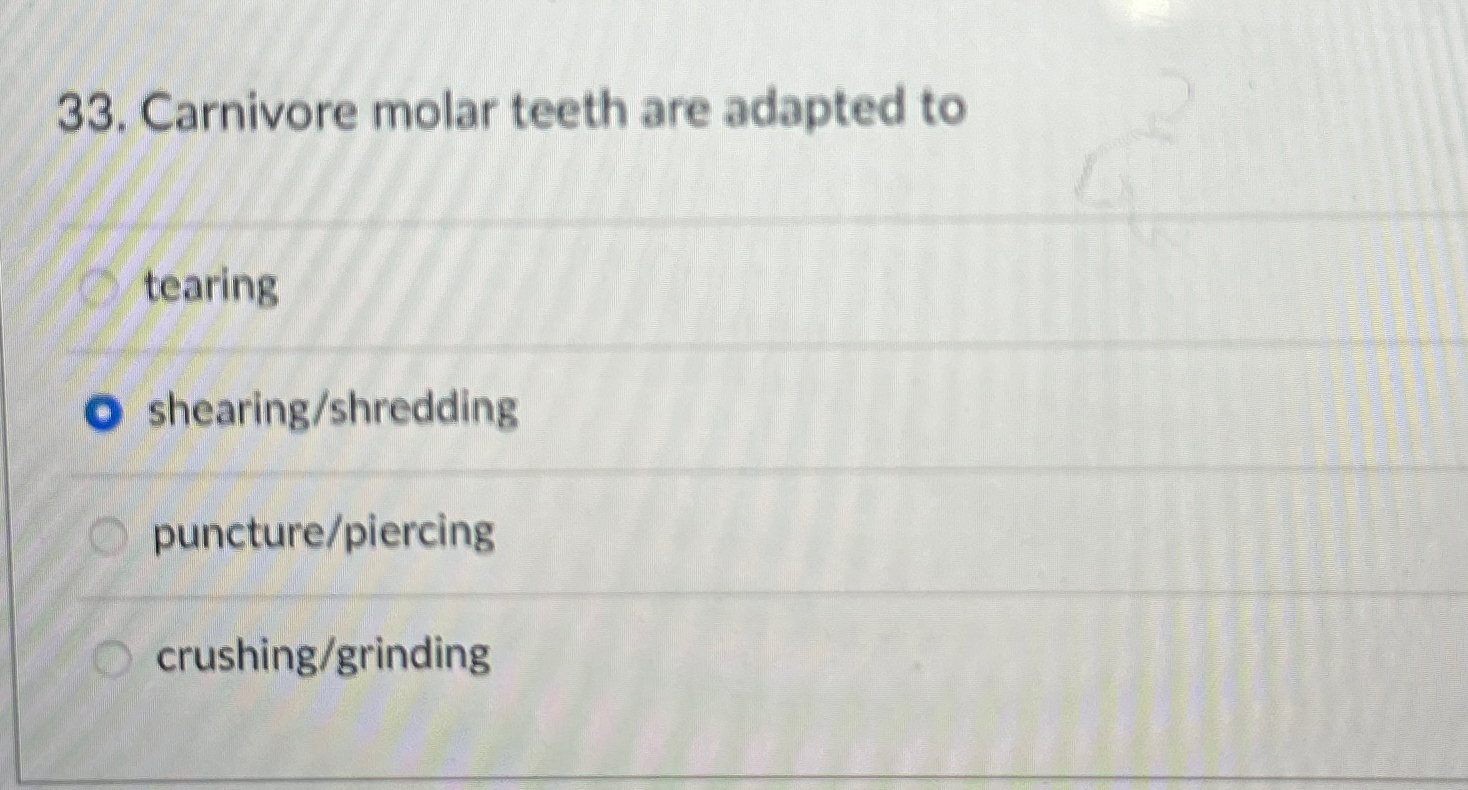 Solved Carnivore molar teeth are adapted | Chegg.com