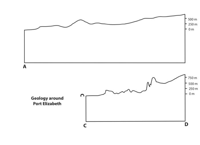 The geology around Port Elizabeth is illustrated in | Chegg.com