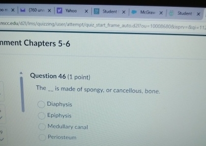 Solved Question 46 (1 ﻿point)Theis made of spongy, or | Chegg.com