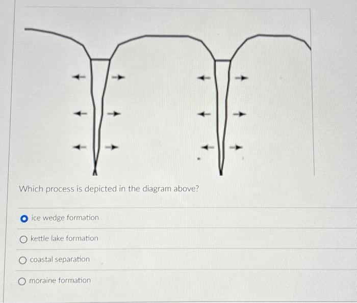 Solved Which process is depicted in the diagram above? ice | Chegg.com