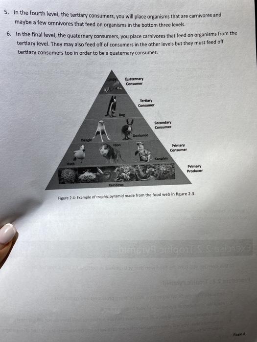 Biology 1407 Lab 2: Food Webs & Trophic Pyramids | Chegg.com