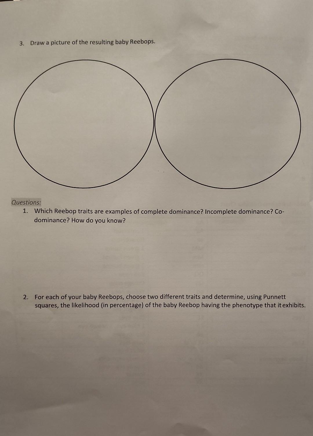 Solved Table 4: Reebop Decoder Chart Trait Antenna Genotype | Chegg.com