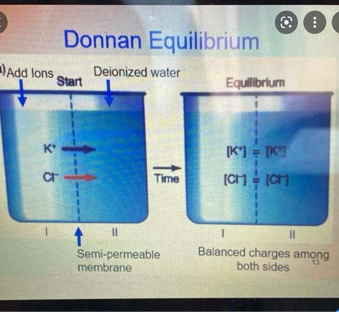 2. Study the Donnan equilibrium. Suppose that equal | Chegg.com